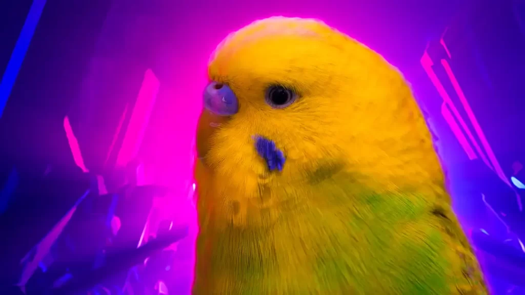 Spending 10 Years With Budgie Birds! Is it worth it?